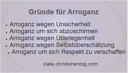Arroganz richtig einsetzen | Vision & Ziele